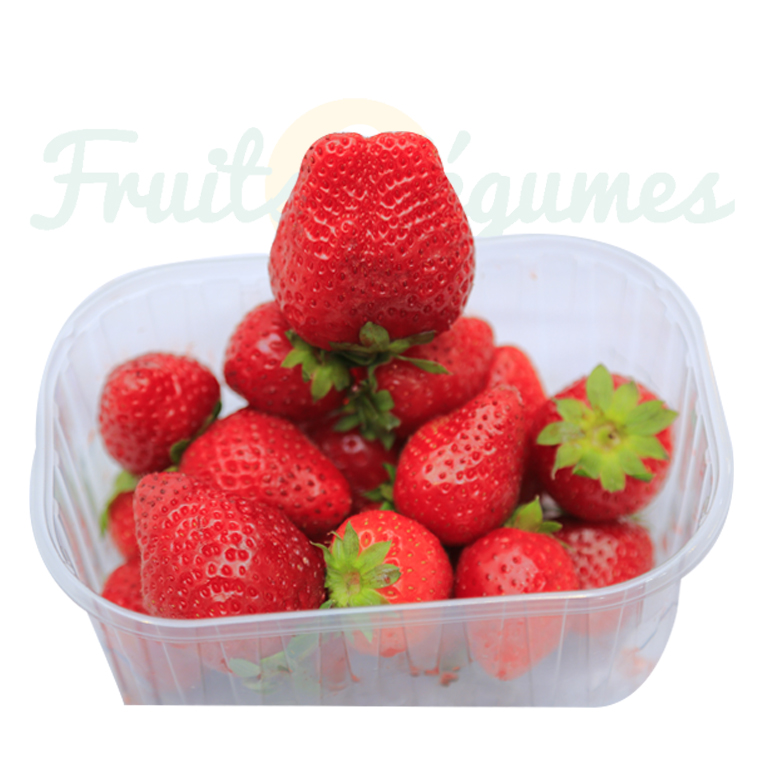 Fraise - Fruits et Légumes